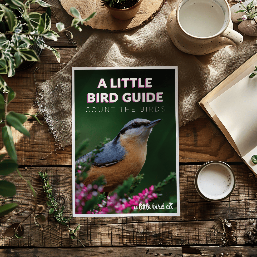 Garden bird spotting guide | UK bird identification chart ...