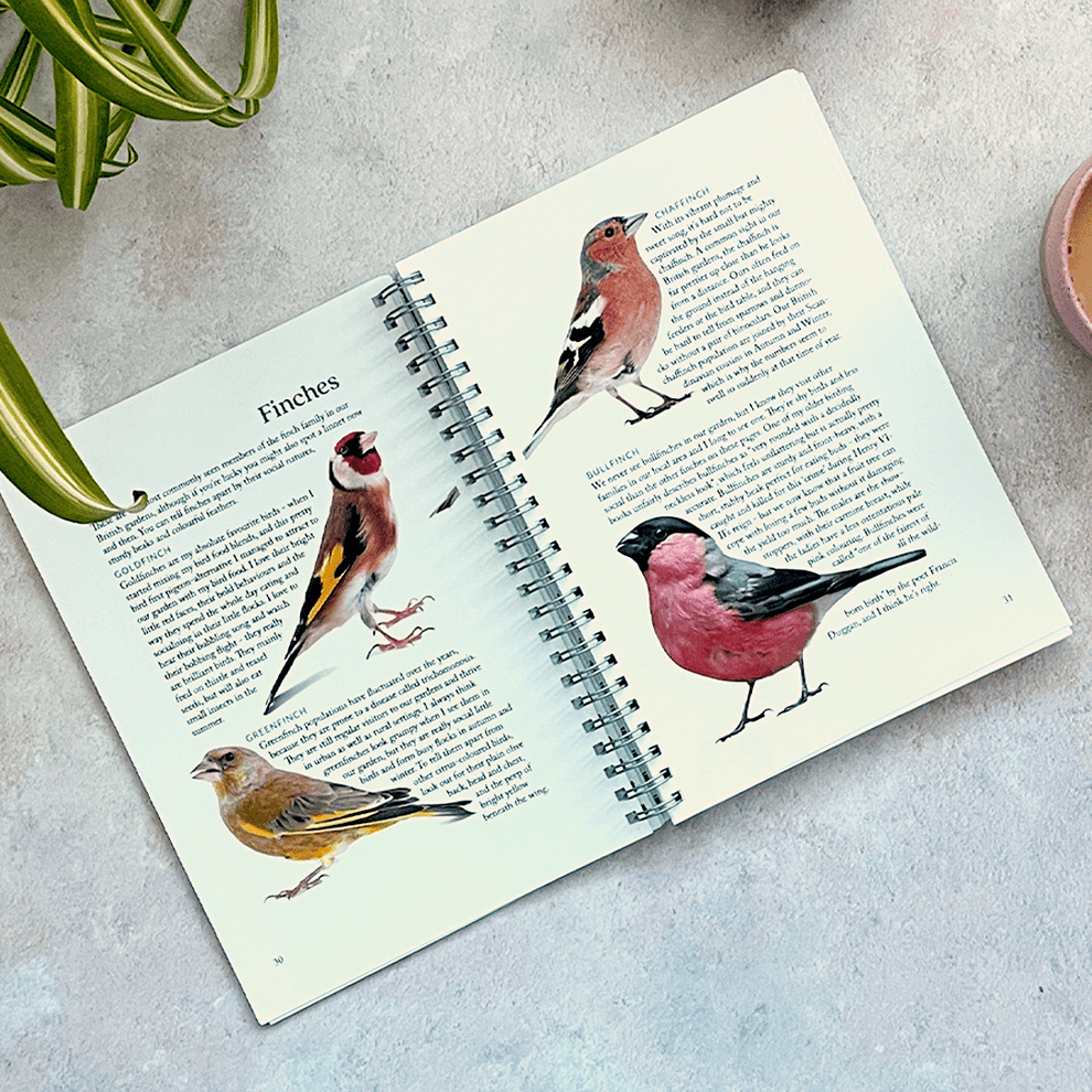 Amidst the Birdsong: The Garden Birdwatcher's Journal | A Little Bird ...