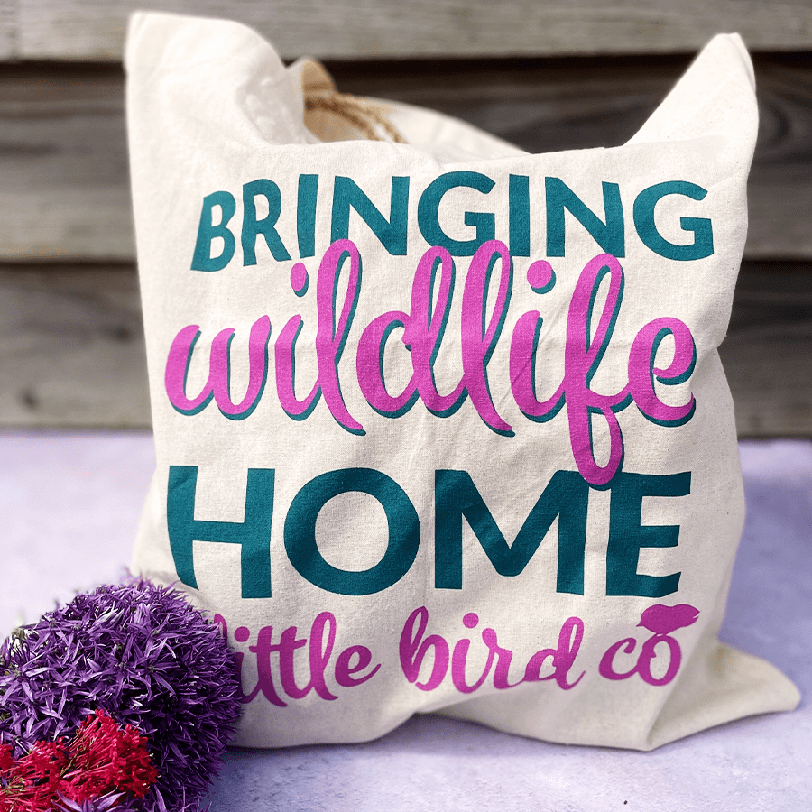 Bird Feeding Starter Set – A Little Bird Co.