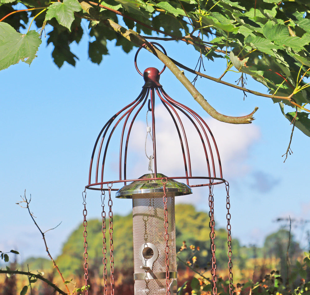 Simon King Medusa Defender for Hanging Bird Feeders | A Little Bird Co ...