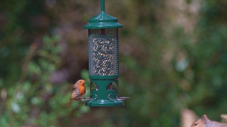 Rodent Proof Bird Feeders – A Little Bird Co.